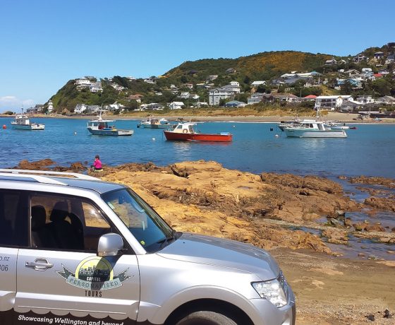 Shuttle and Taxi Service | Airport Shuttles Wellington - Wellington ...